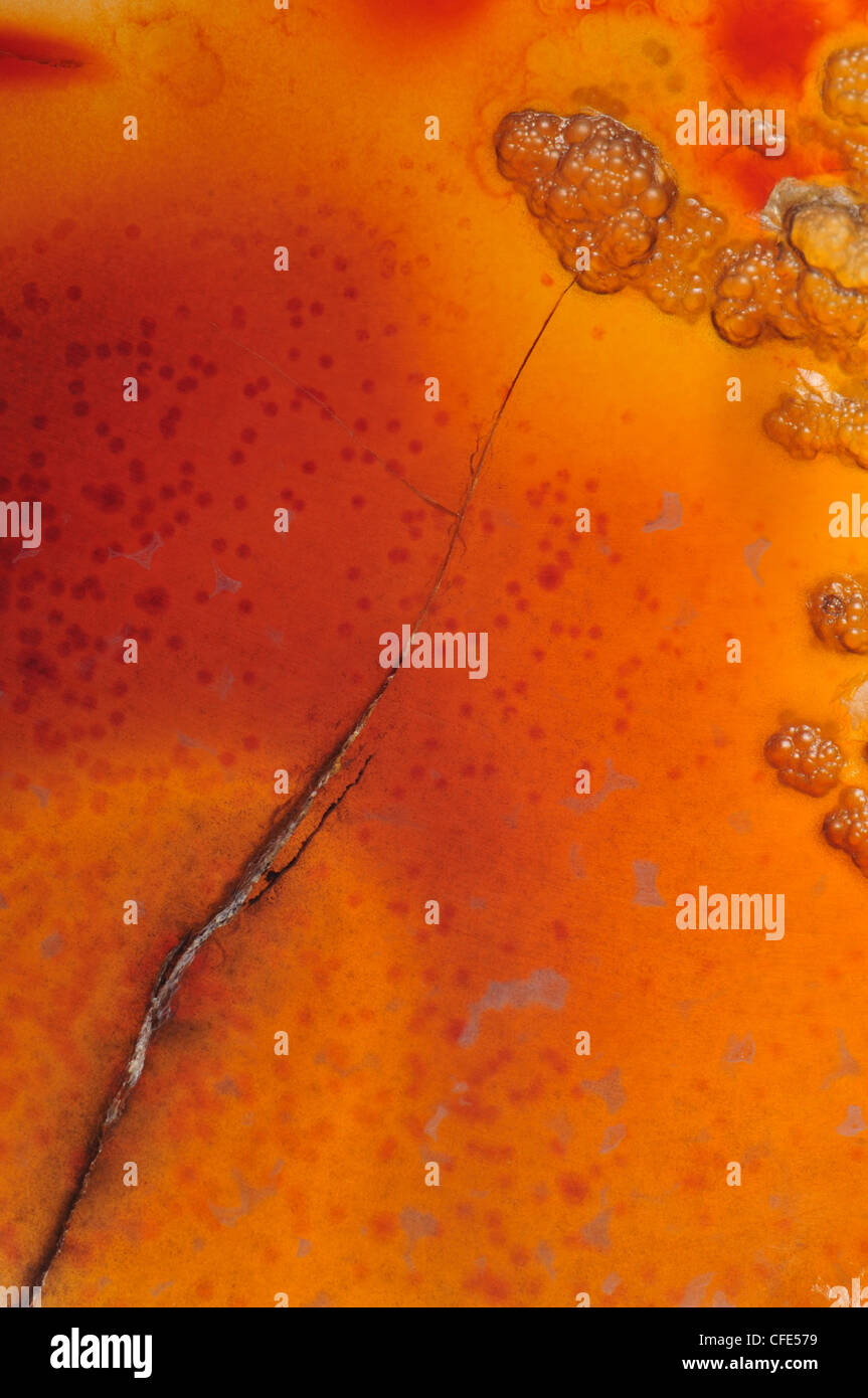 Polished slice of Carnelian (translucent gemstone Stock Photo - Alamy