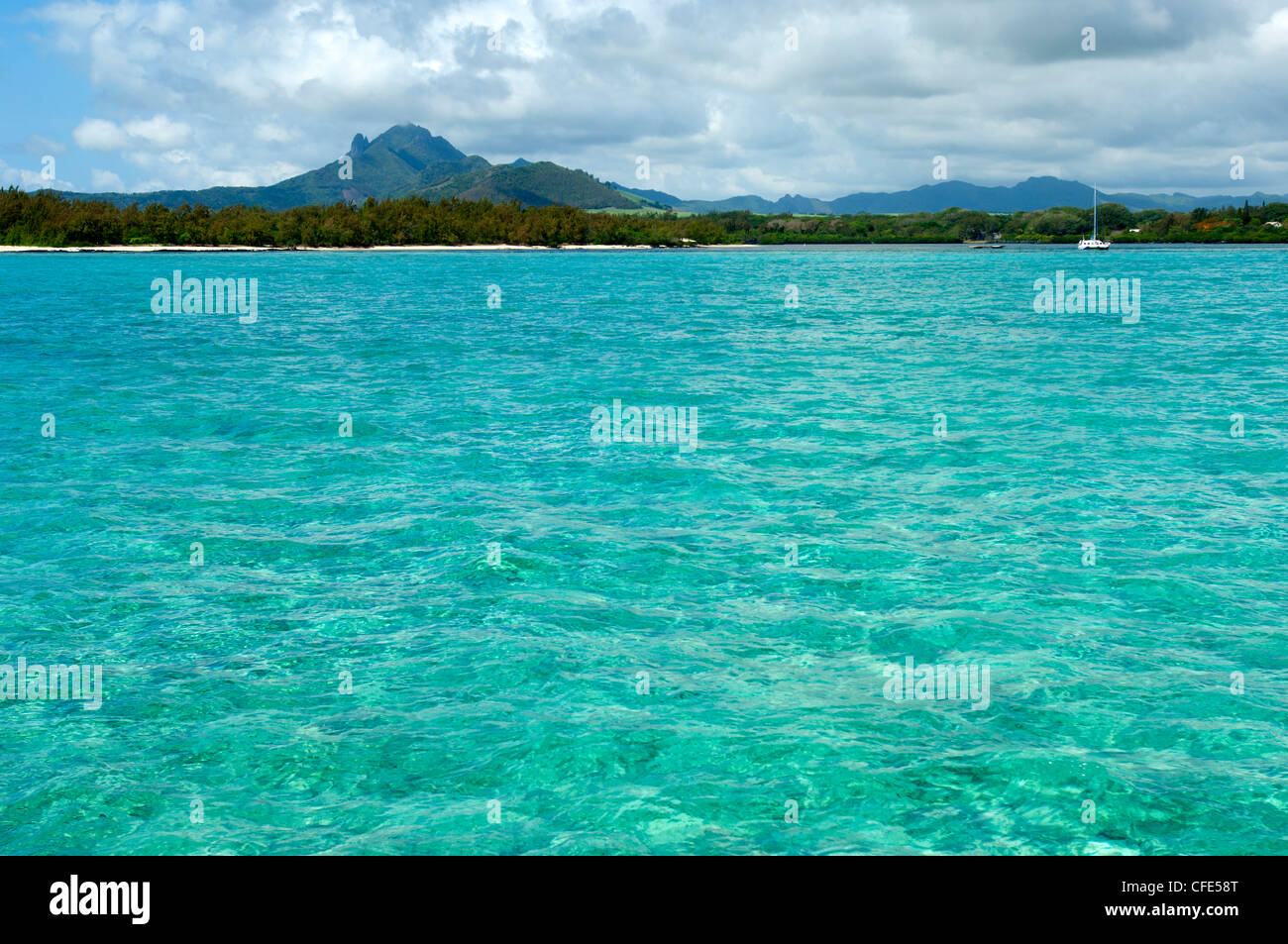 Mauritius tropical fish hi-res stock photography and images - Alamy