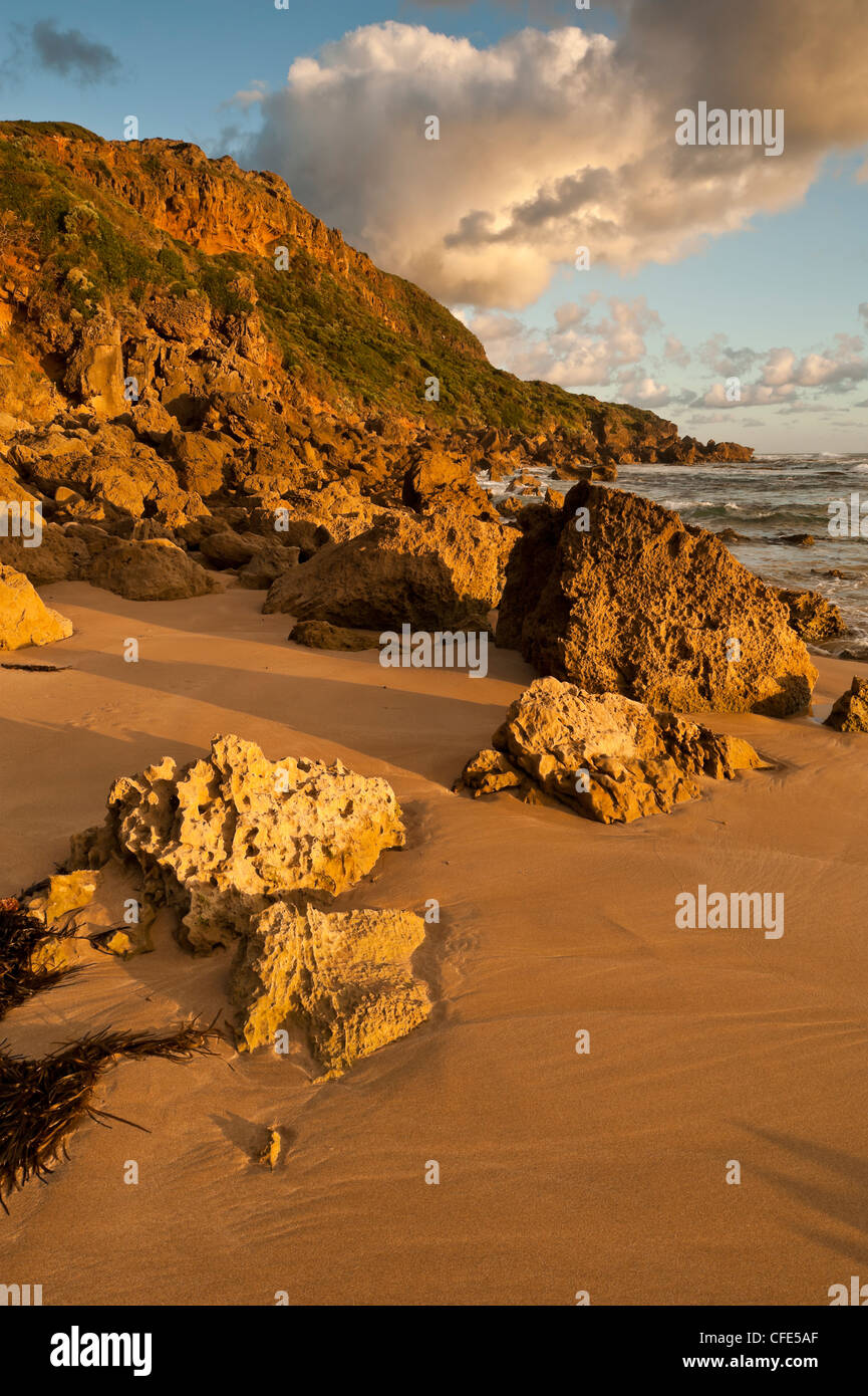 Sunset and looming cloud at Castle Cove, Great Otway National Park ...