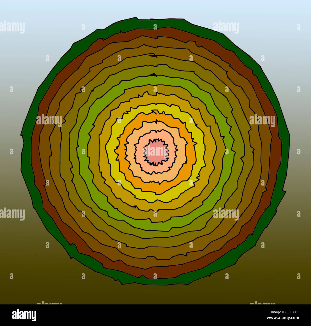 Tree Cross Section Drawing
