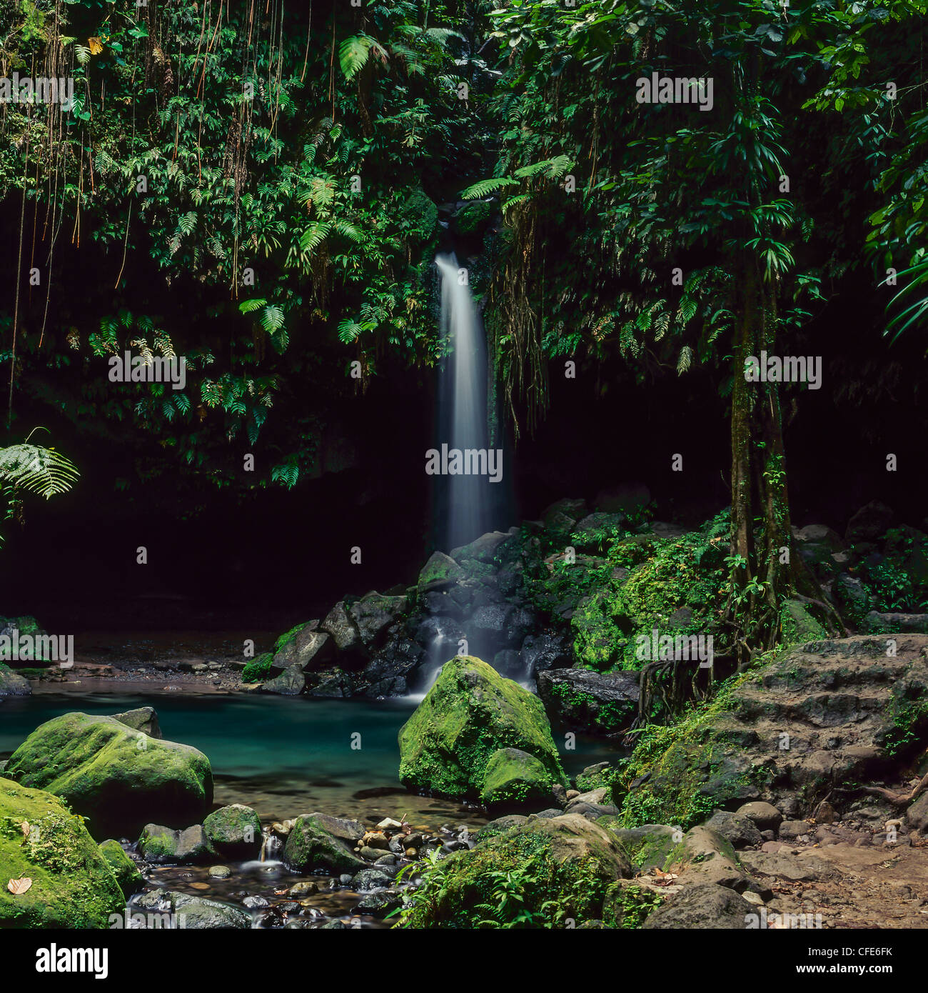 Emerald pool waterfall at Morne Trois Pitons National Park, Dominica ...
