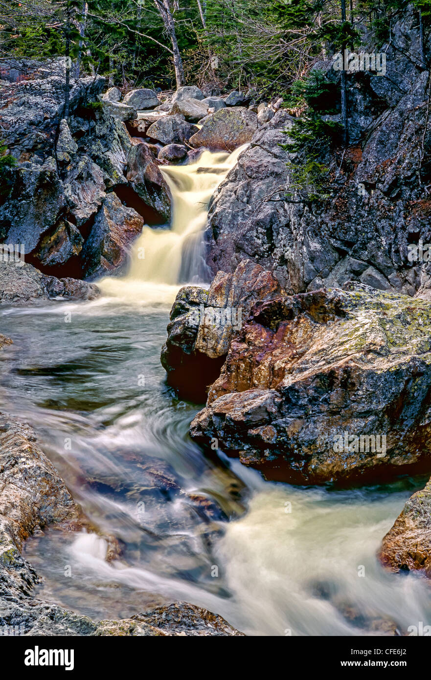 Glen Ellis Falls in the White Mountains of New Hampshire Stock Photo - Alamy