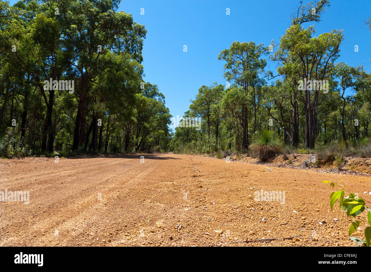 Isolated Dirt Road in Bush Western Australia Stock Photo - Alamy