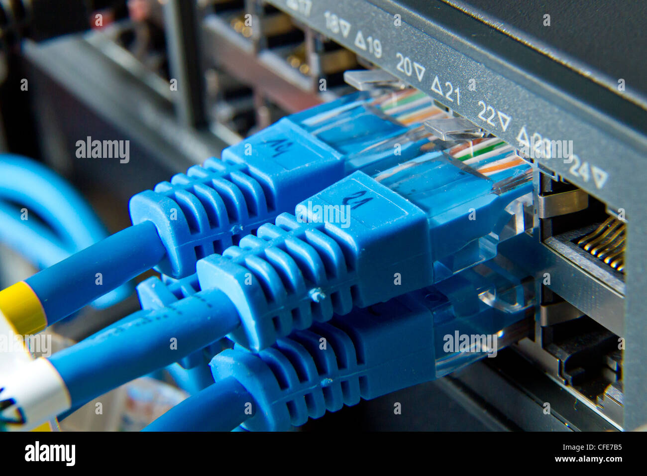 network cables connected to hub Stock Photo - Alamy