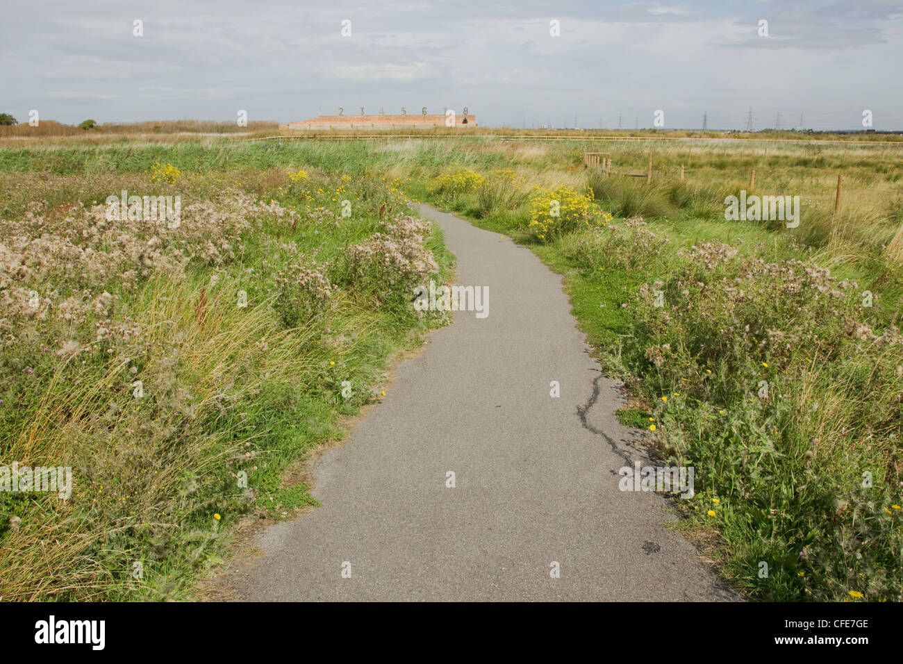 Thames marshes hi-res stock photography and images - Alamy