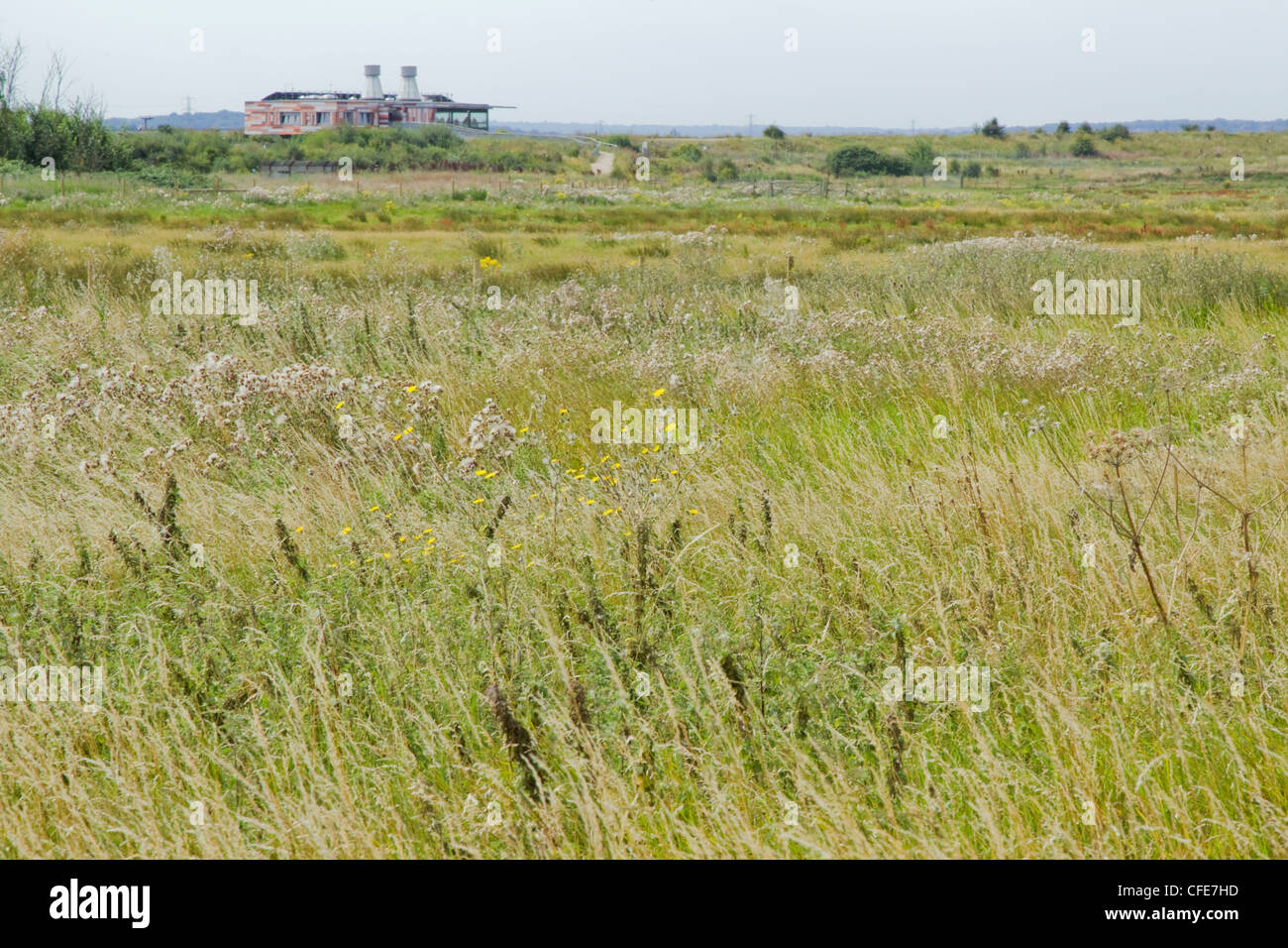 Rainham marshes landscape hi-res stock photography and images - Alamy