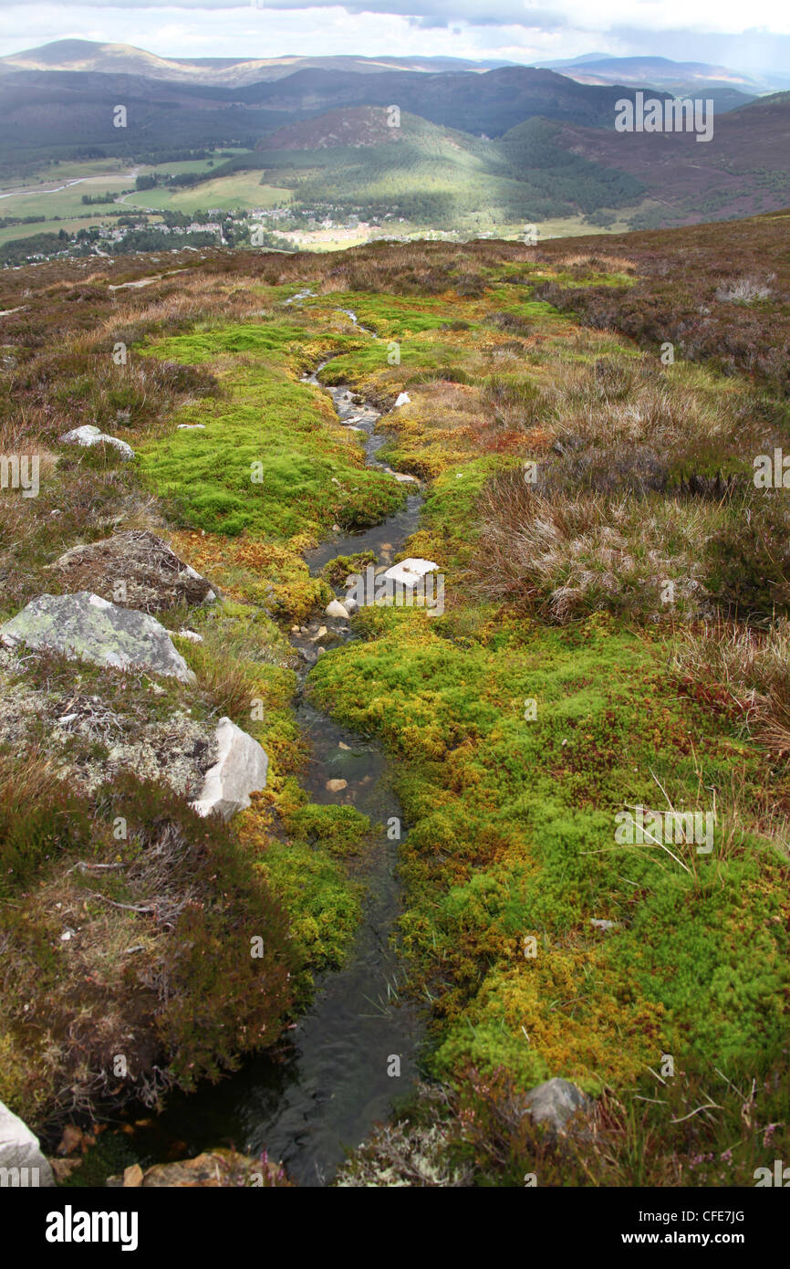 Area of Braemar, Scotland. Morrone Hill with the village of Braemar in ...