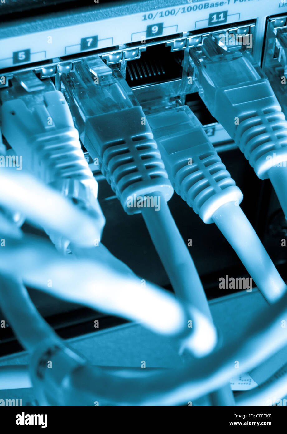 network cables connected to hub Stock Photo - Alamy