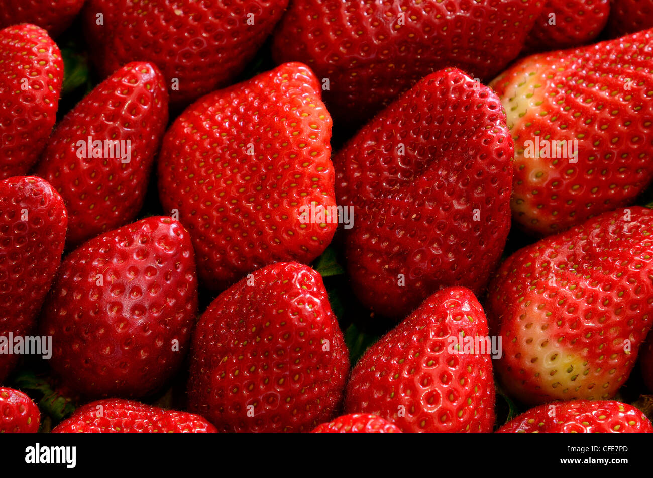 A close up of fresh red strawberry Stock Photo - Alamy