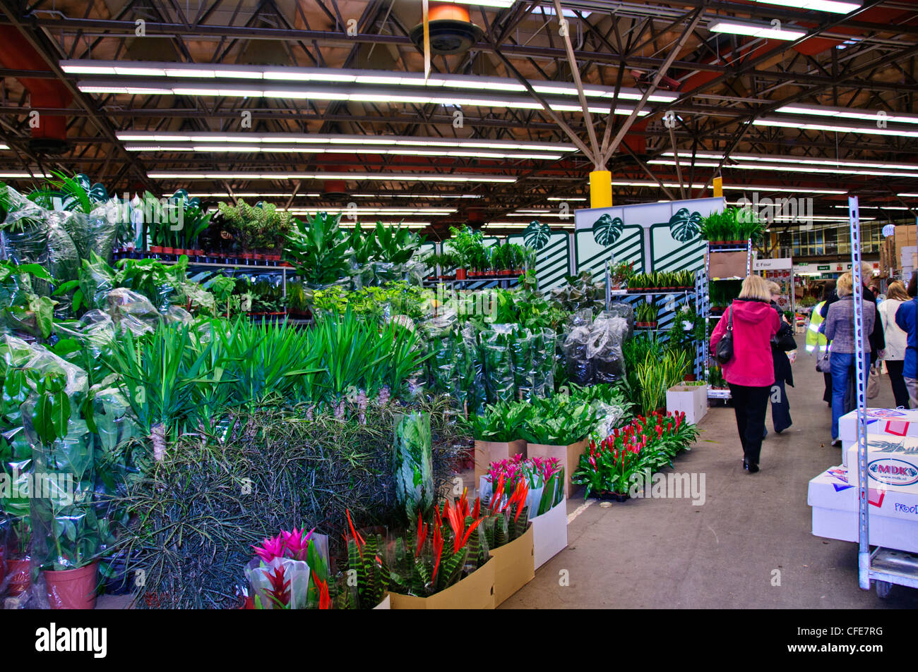 New covent garden market is the largest wholesale fruit hi-res stock ...
