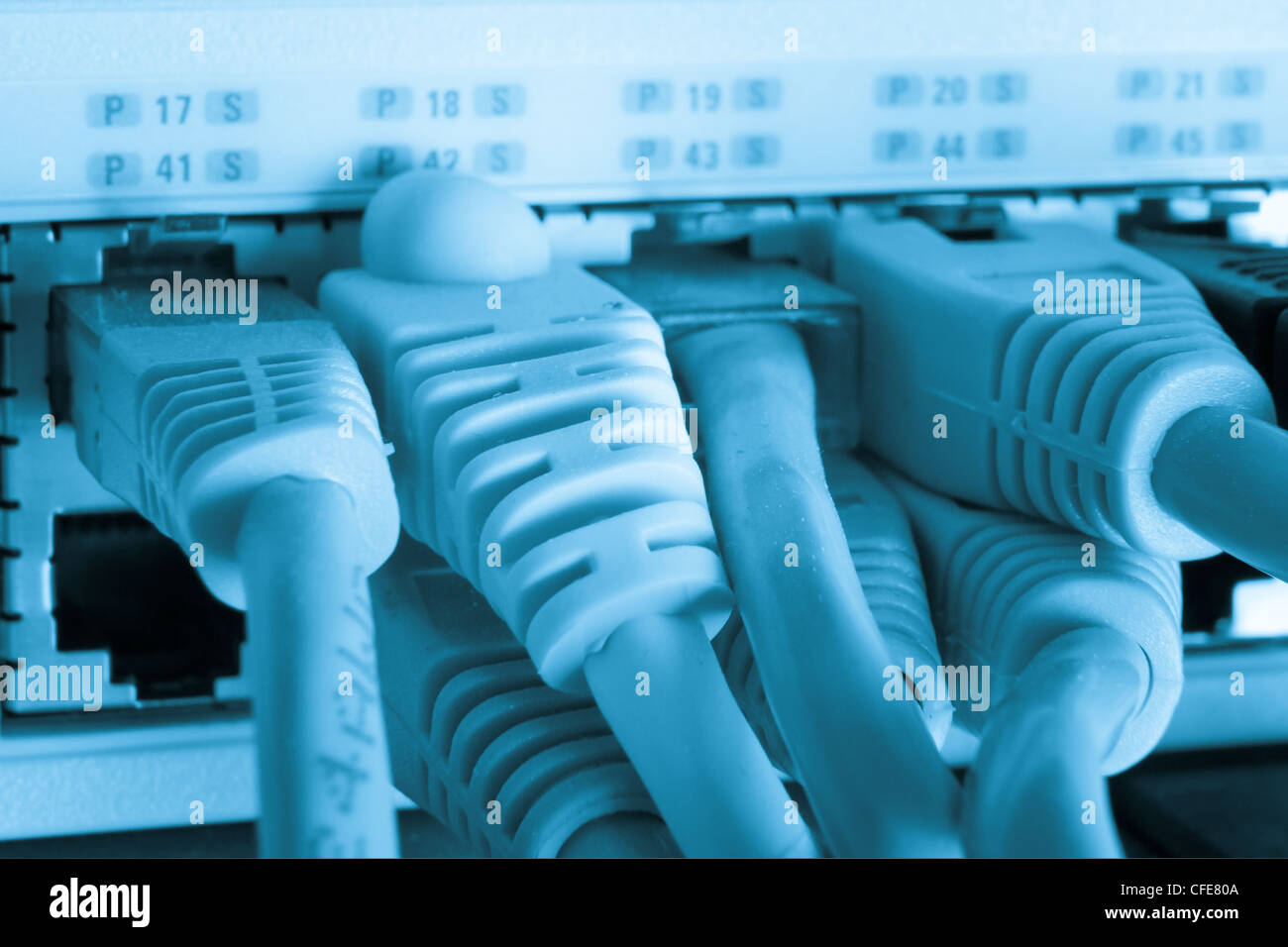 close up of network cables connected to switch Stock Photo - Alamy