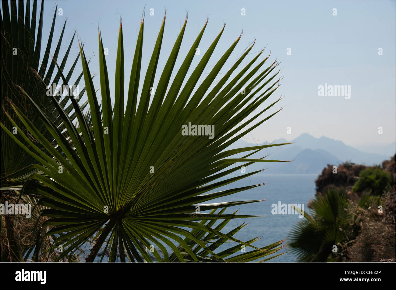 Turkey postcards hi-res stock photography and images - Alamy