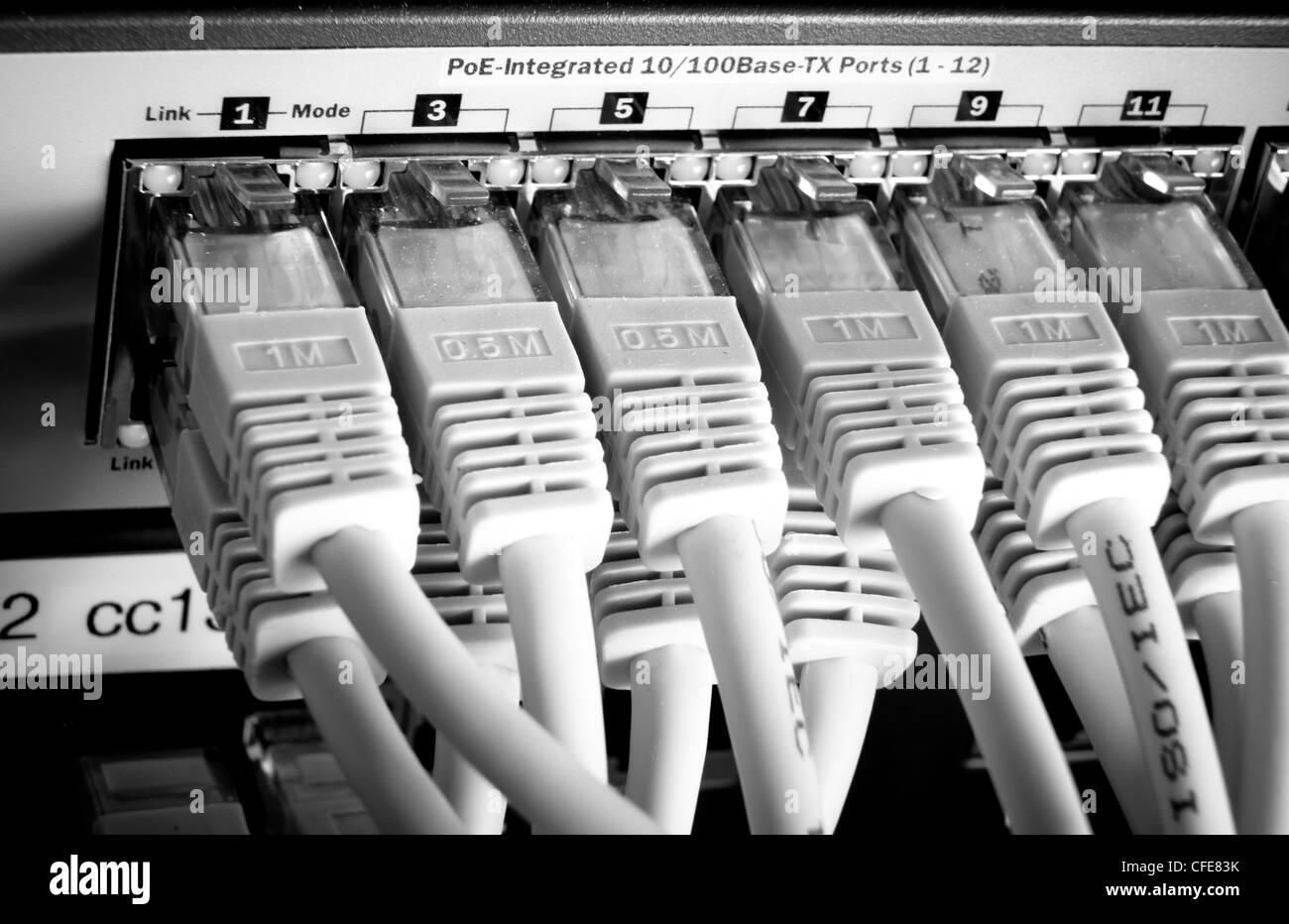 close up of network cables connected to switch Stock Photo - Alamy