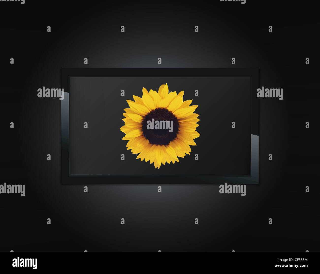 Black LCD tv screen hanging on a wall Stock Photo - Alamy
