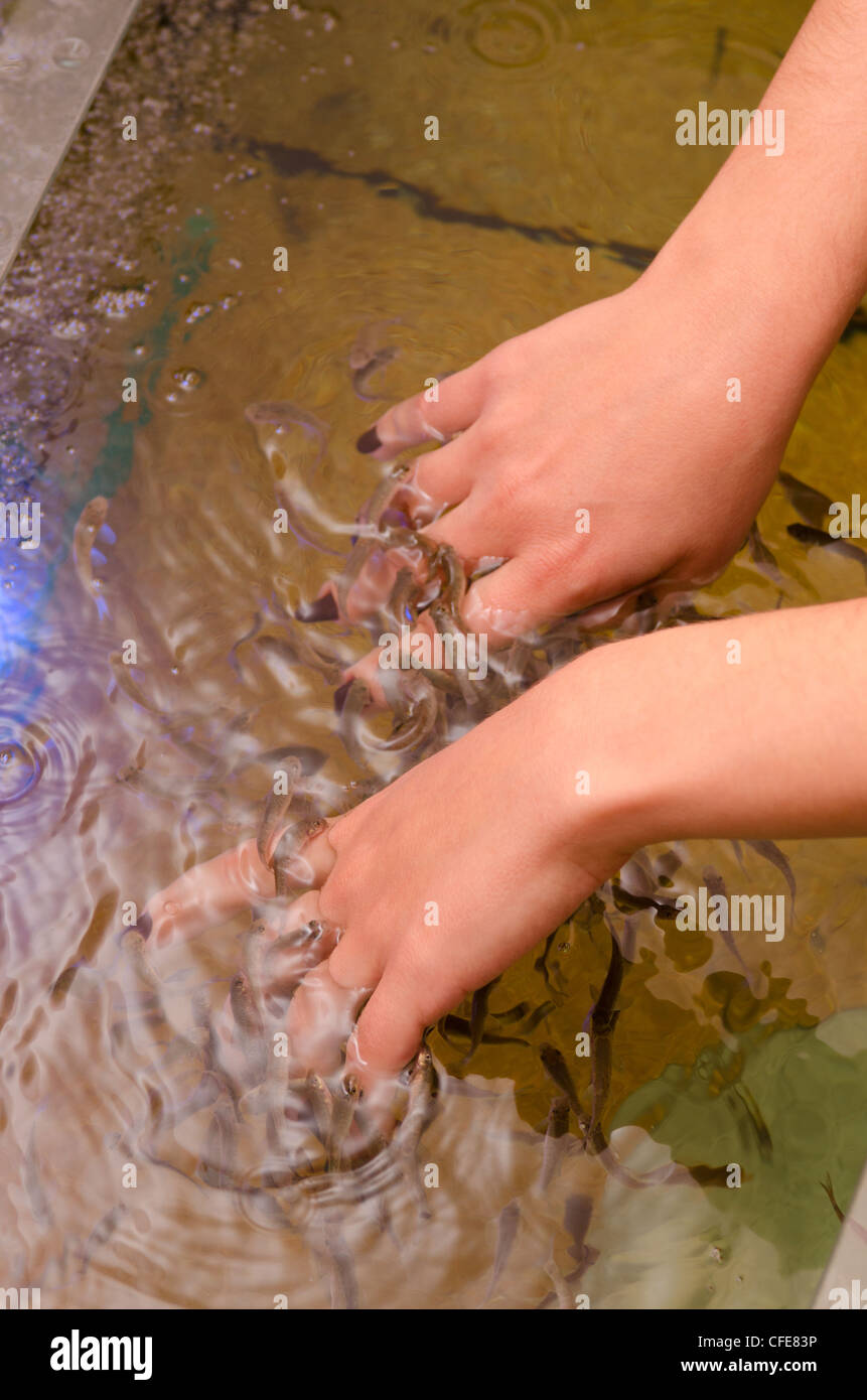 Fish therapy for skin of hand at spa Stock Photo - Alamy