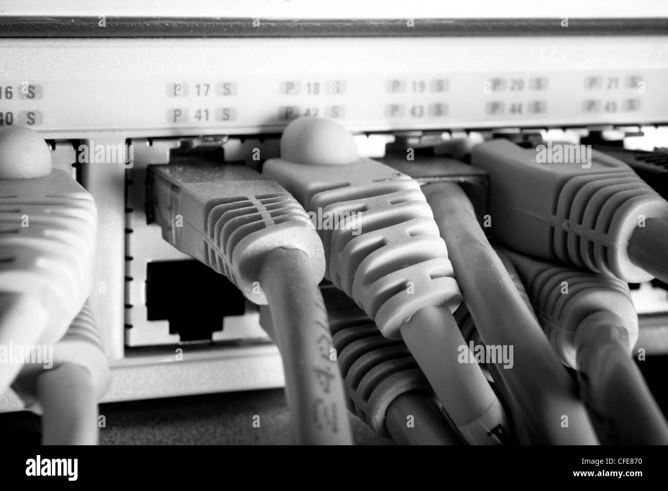 close up of network cables connected to switch Stock Photo - Alamy