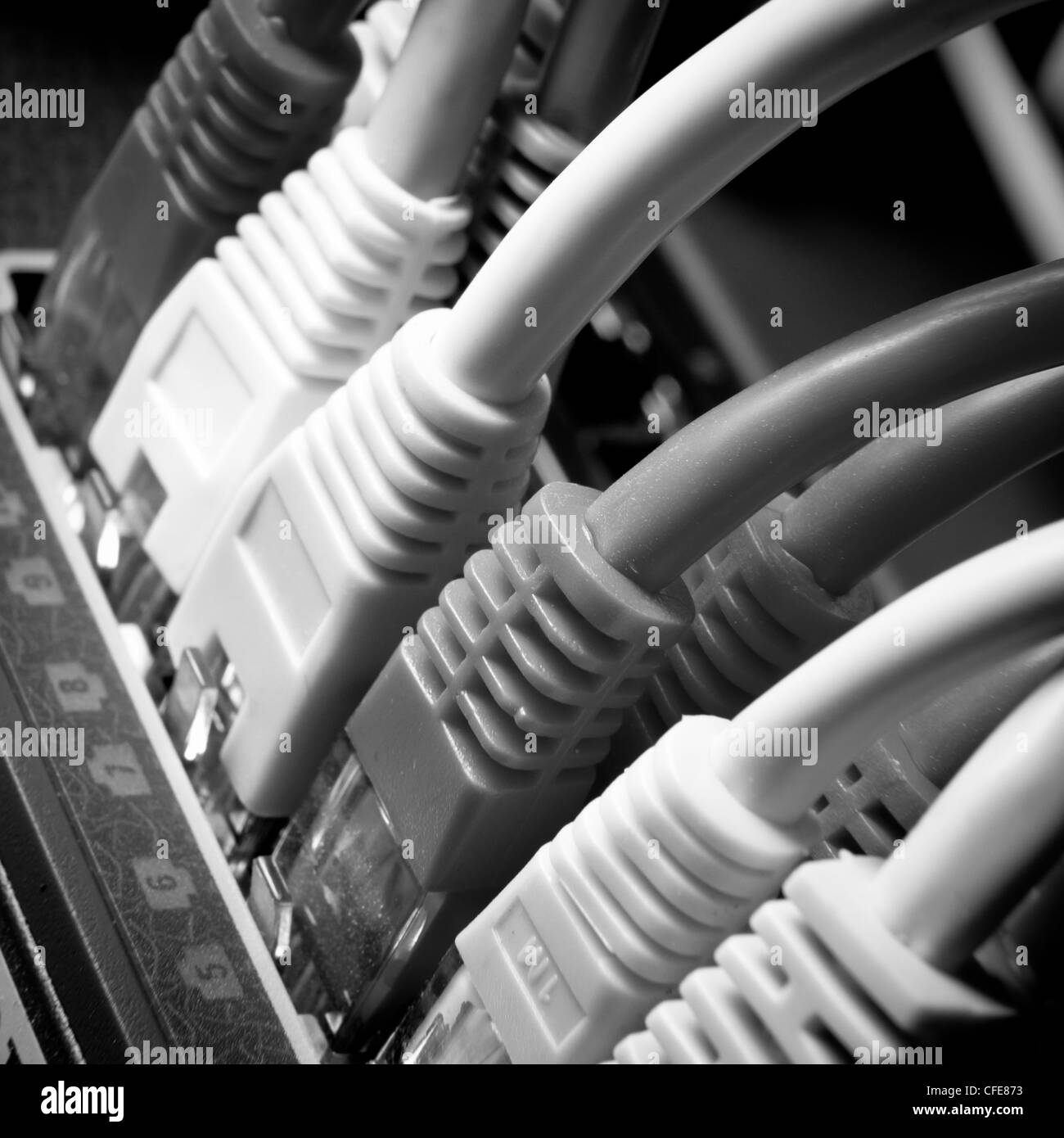 close up of network cables connected to switch Stock Photo - Alamy
