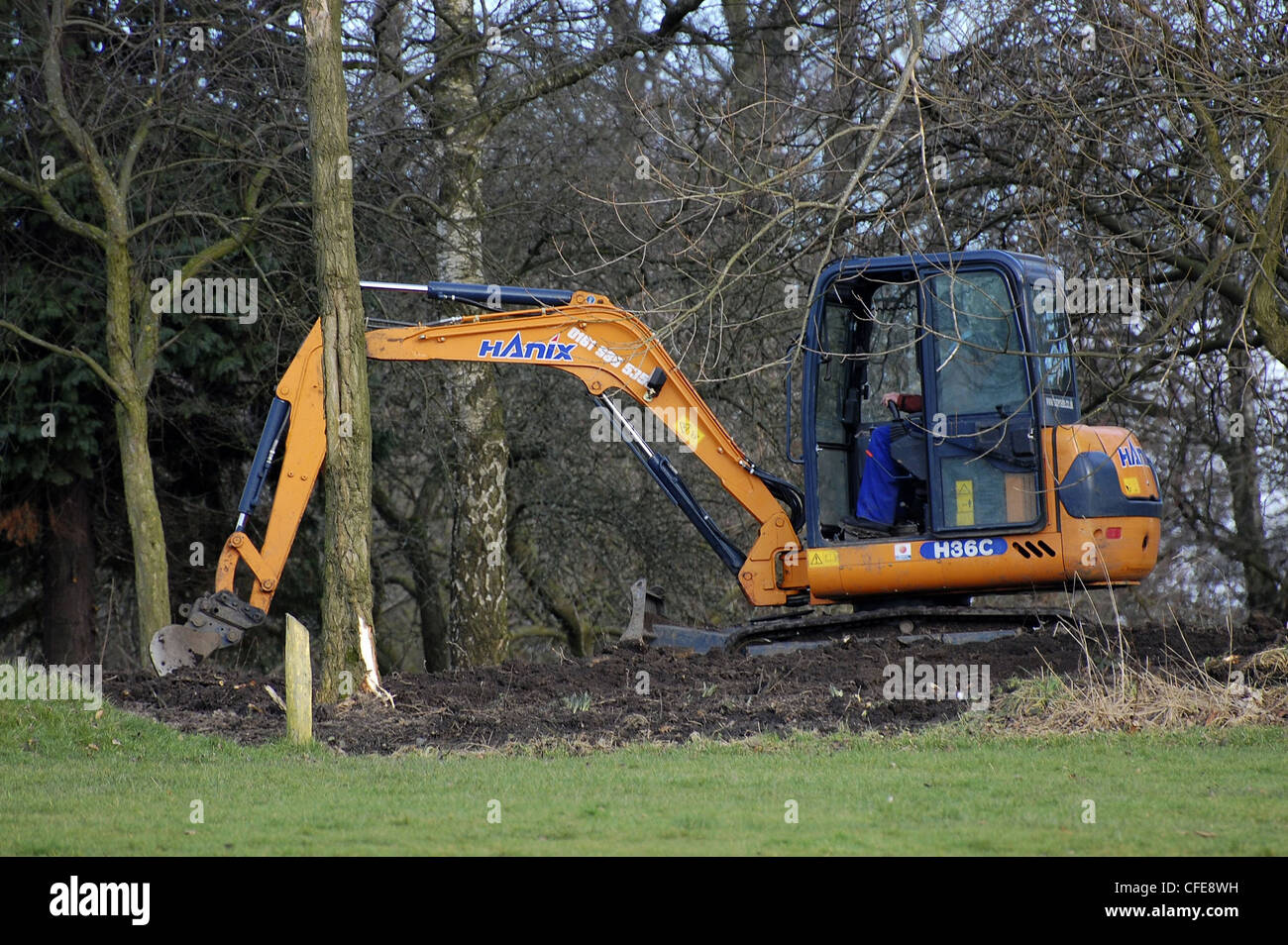 Orange JCB working amongst trees Stock Photo - Alamy
