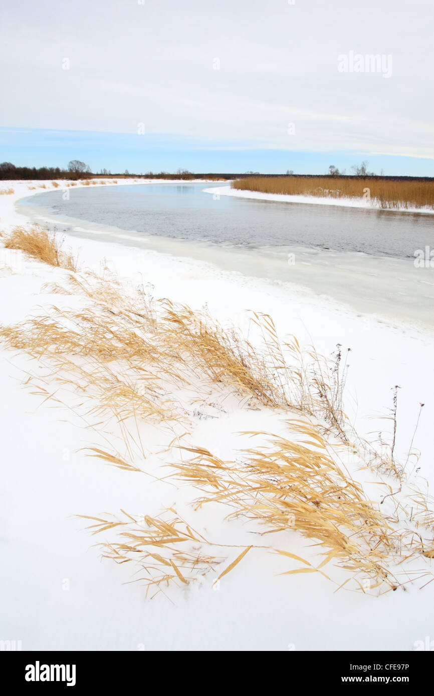 Alam pedja nature reserve hi-res stock photography and images - Alamy