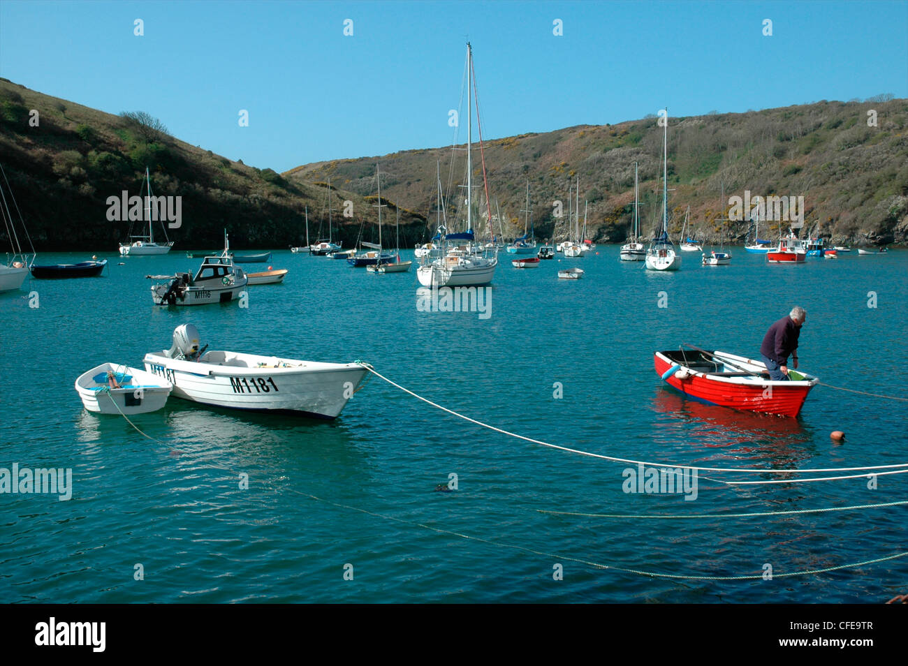 Solva estuary hi-res stock photography and images - Alamy