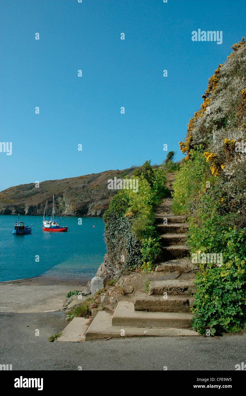 Steps on coastal path from Solva harbour, Pembrokeshire, Wales, UK ...
