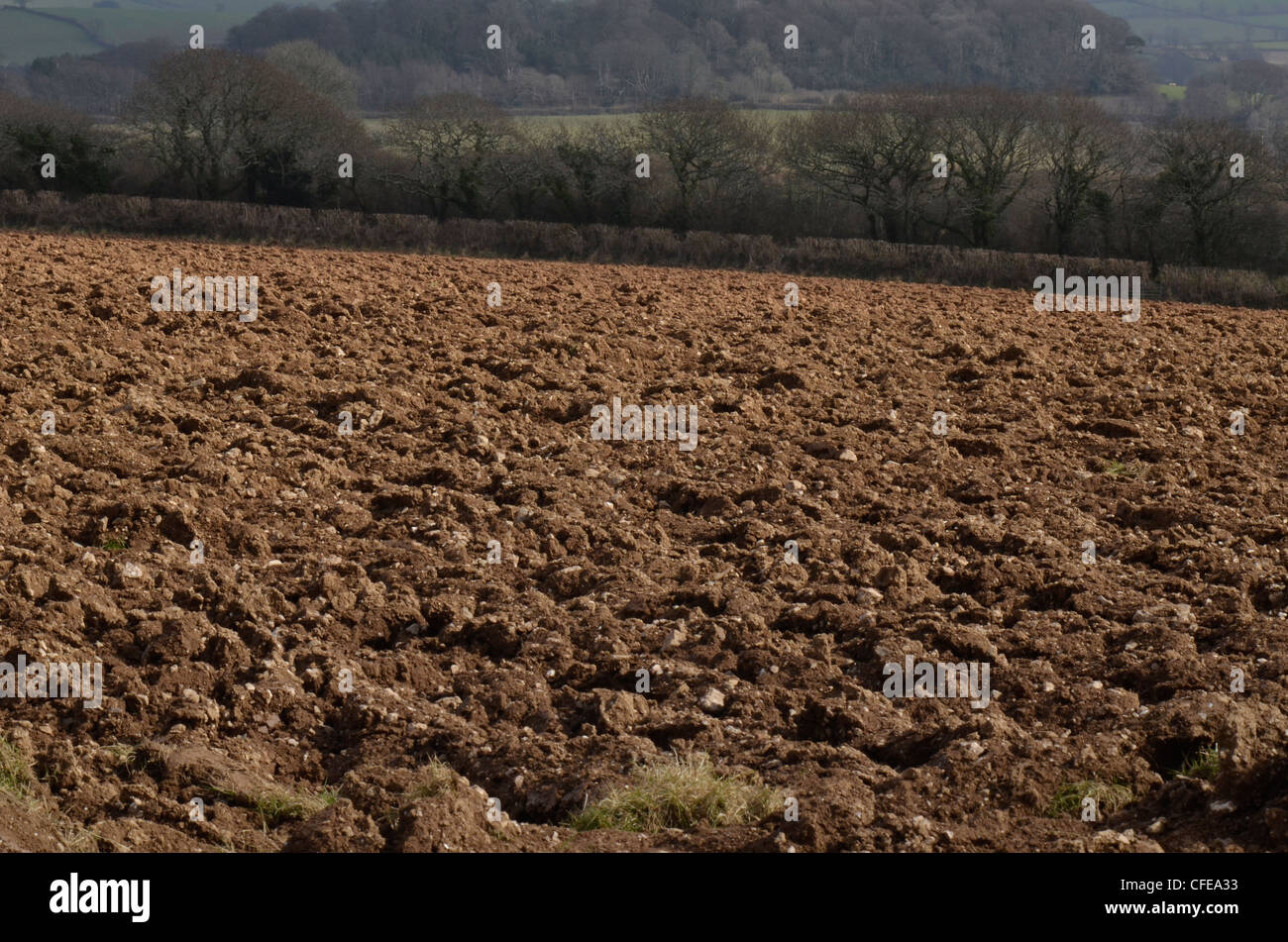 Ploughed field scene (pre-harrowing) with emphasis on soil texture ...