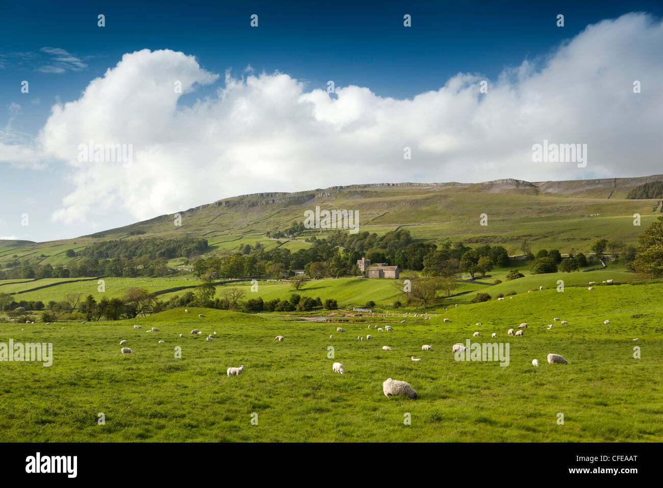 UK, England, Yorkshire, Wensleydale, Nappa Hall, ancestral home of the ...