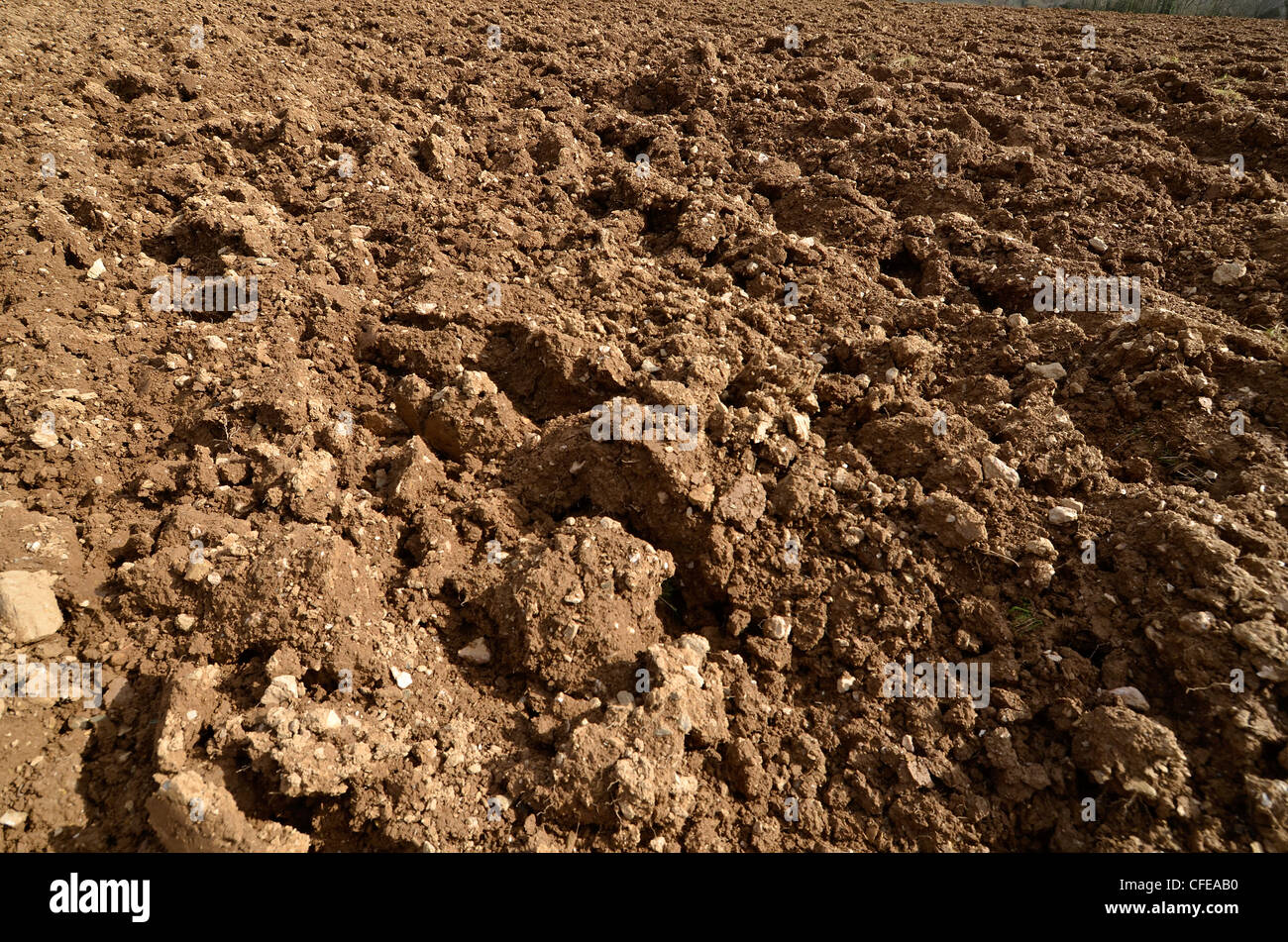 Tilled soil hi-res stock photography and images - Alamy