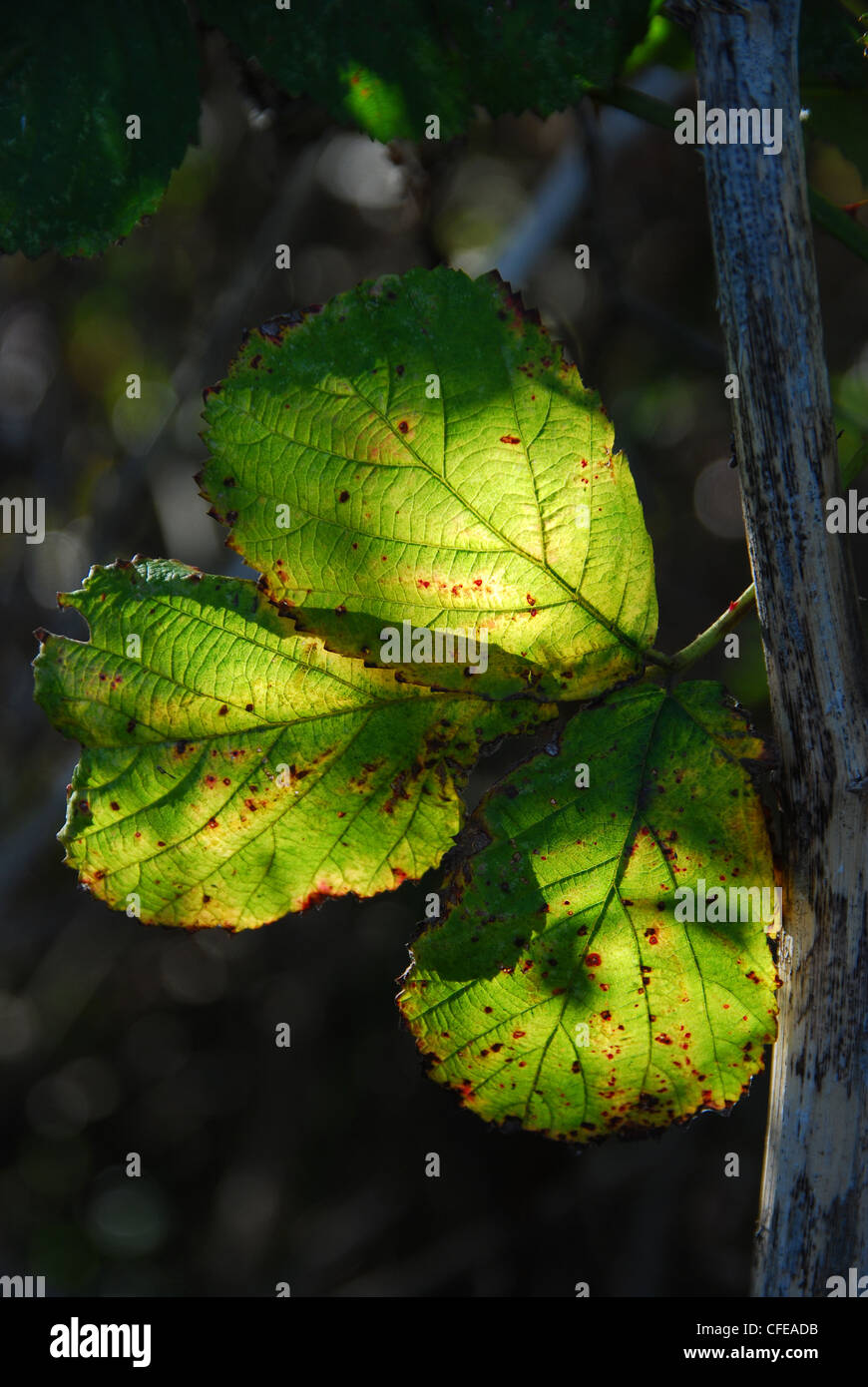 Lit shapes hi-res stock photography and images - Alamy