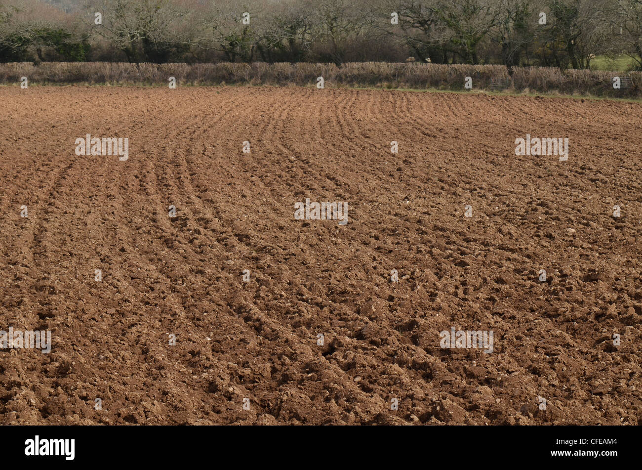 Ploughed field (after being harrowed). [FOCUS POINT note in Description ...