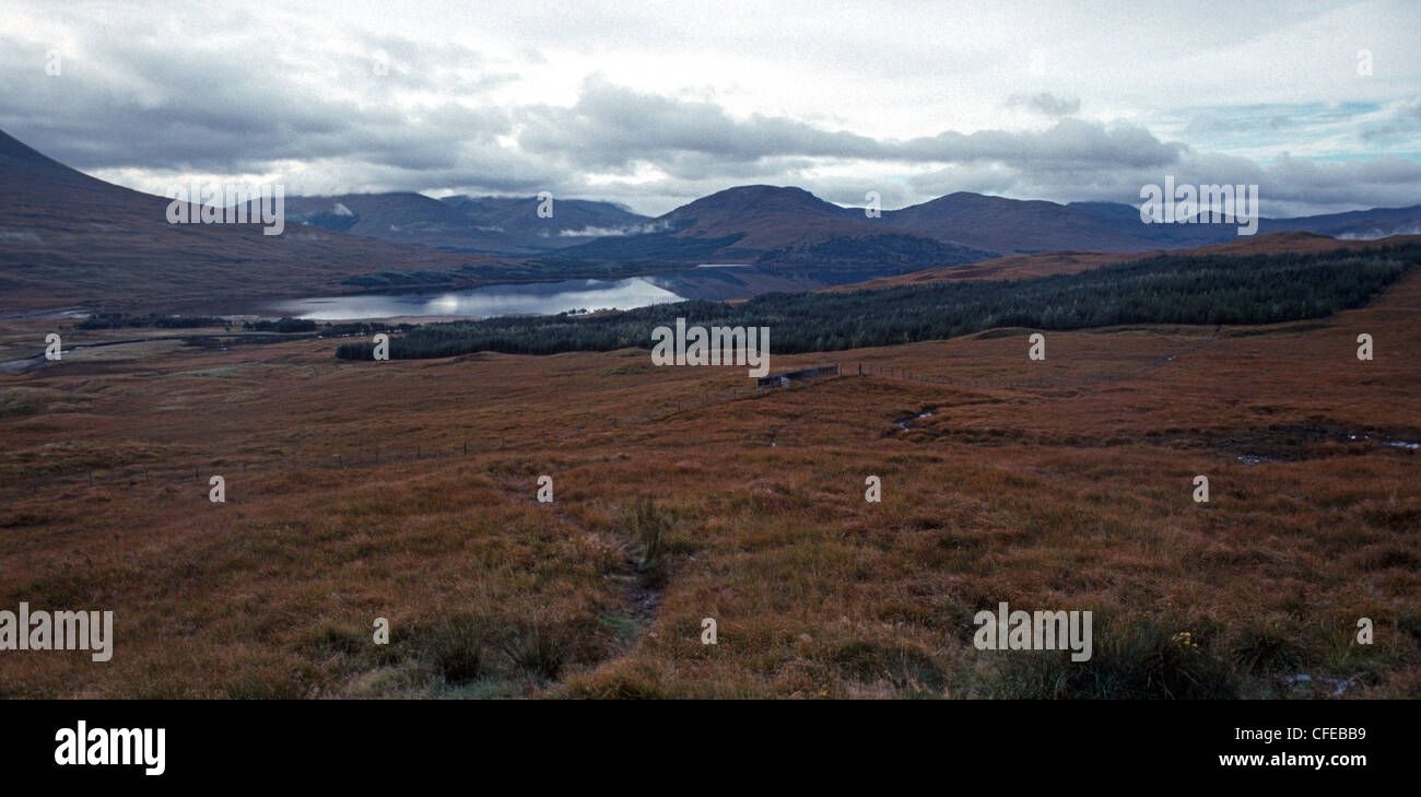 Scottish moors hi-res stock photography and images - Alamy