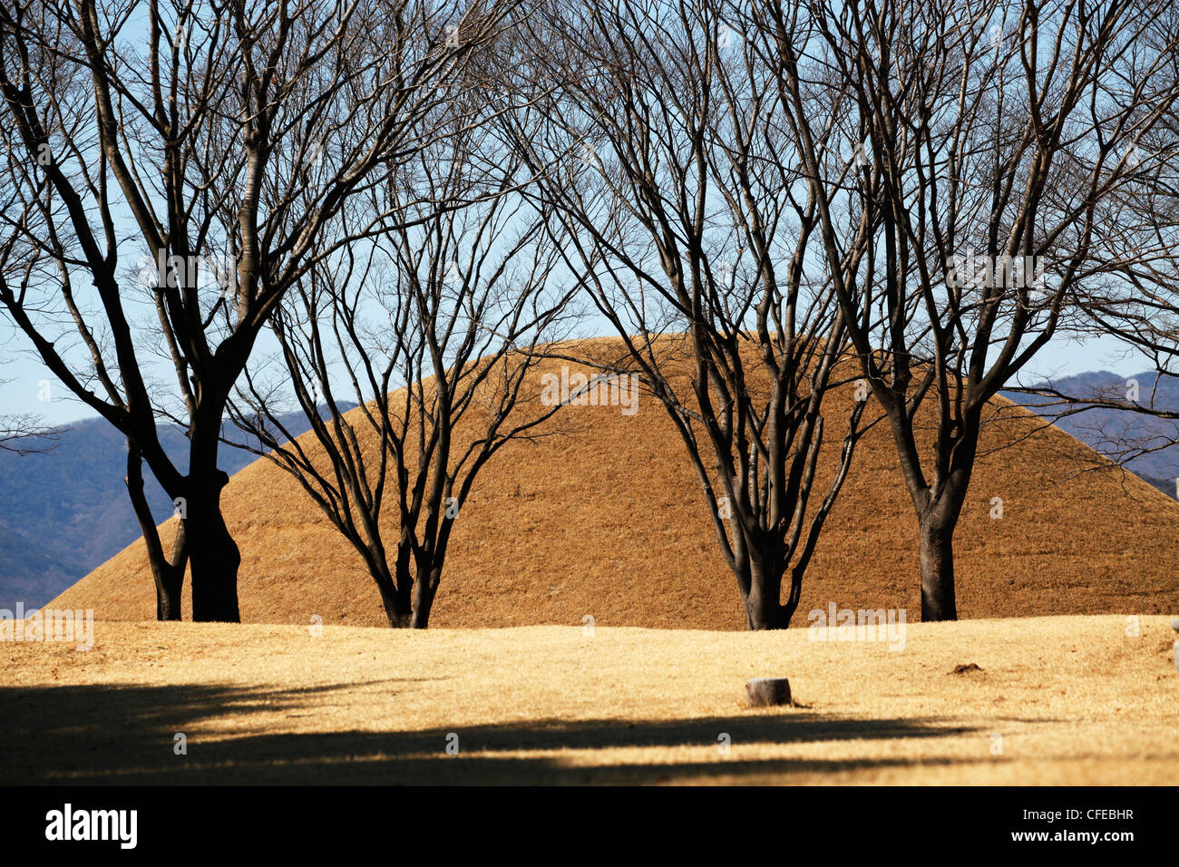 Mound tombs and tumuli of Korean Kings Past with silhouette of leafless ...