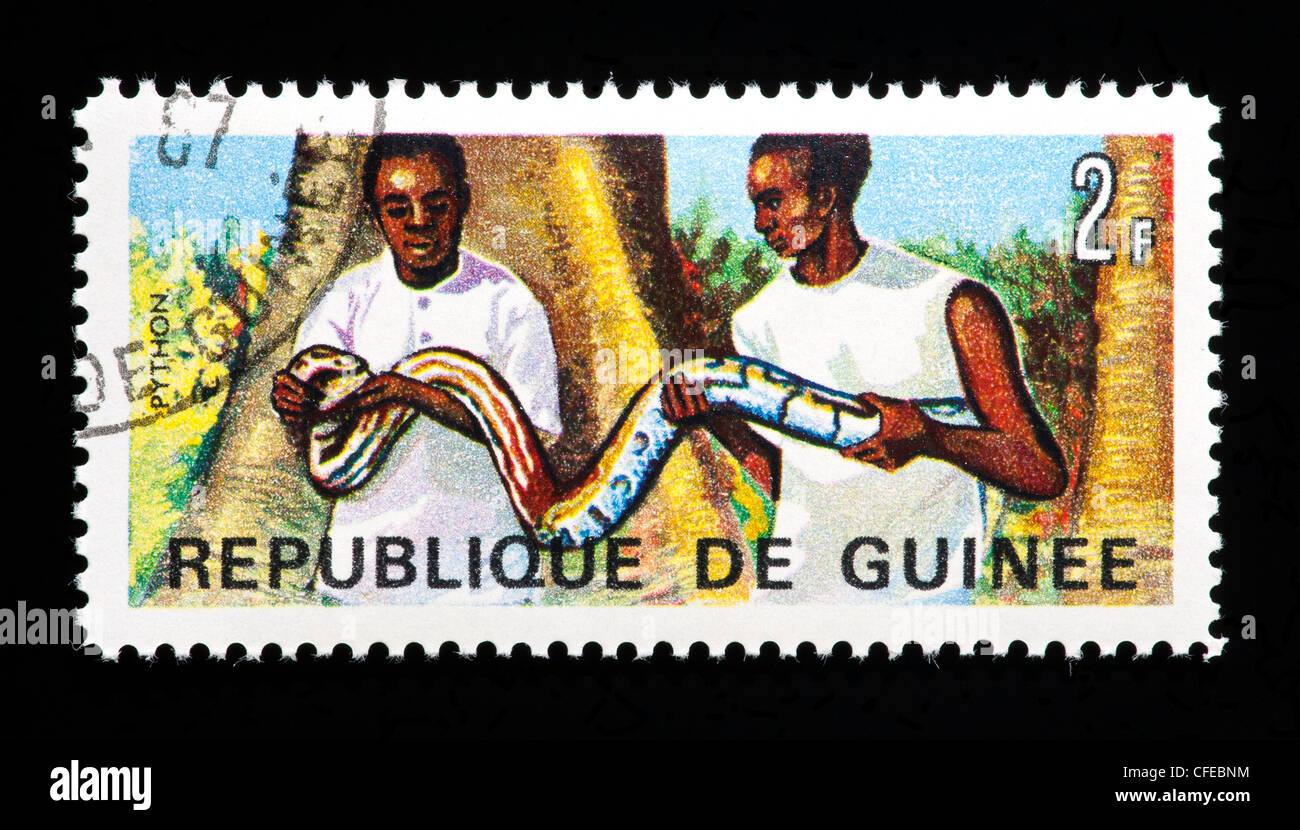 Postage stamp from Guinea depicting men holding a Python Stock Photo ...