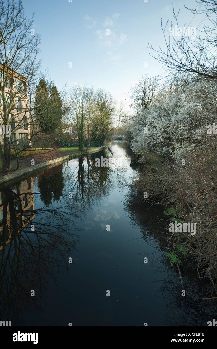 Tree lined river Wandle at Merton Abbey Mills in south London Stock ...