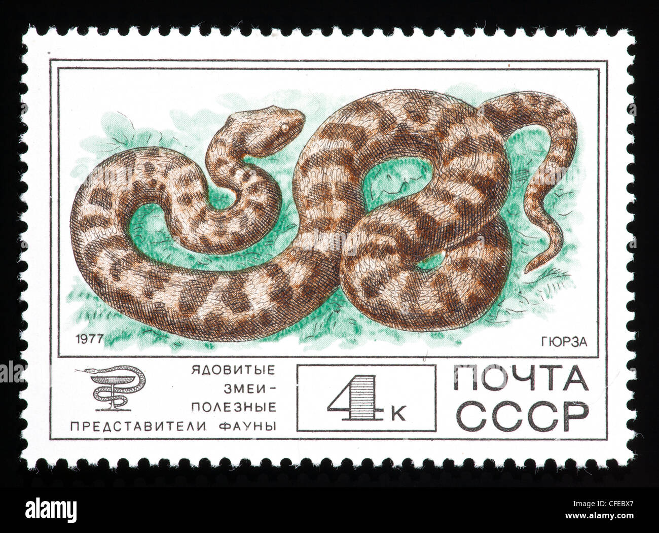 Postage stamp from the Soviet Union depicting a venomous snake Stock ...