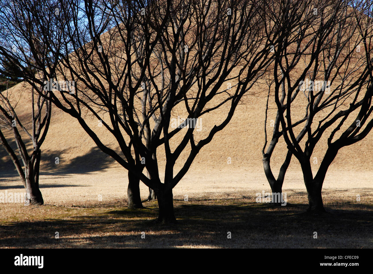 Daerungwon Royal burial mound tombs and tumuli with silhouette of ...