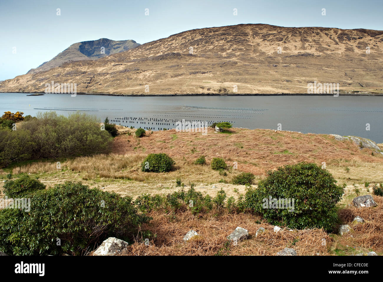 Killary harbour hi-res stock photography and images - Alamy