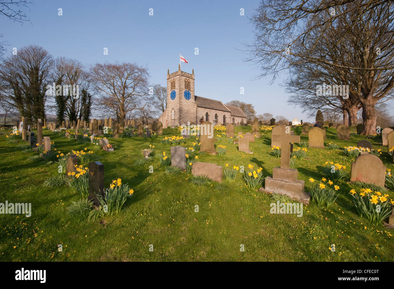 Daffodils & headstones in churchyard of historic, picturesque St Peter ...