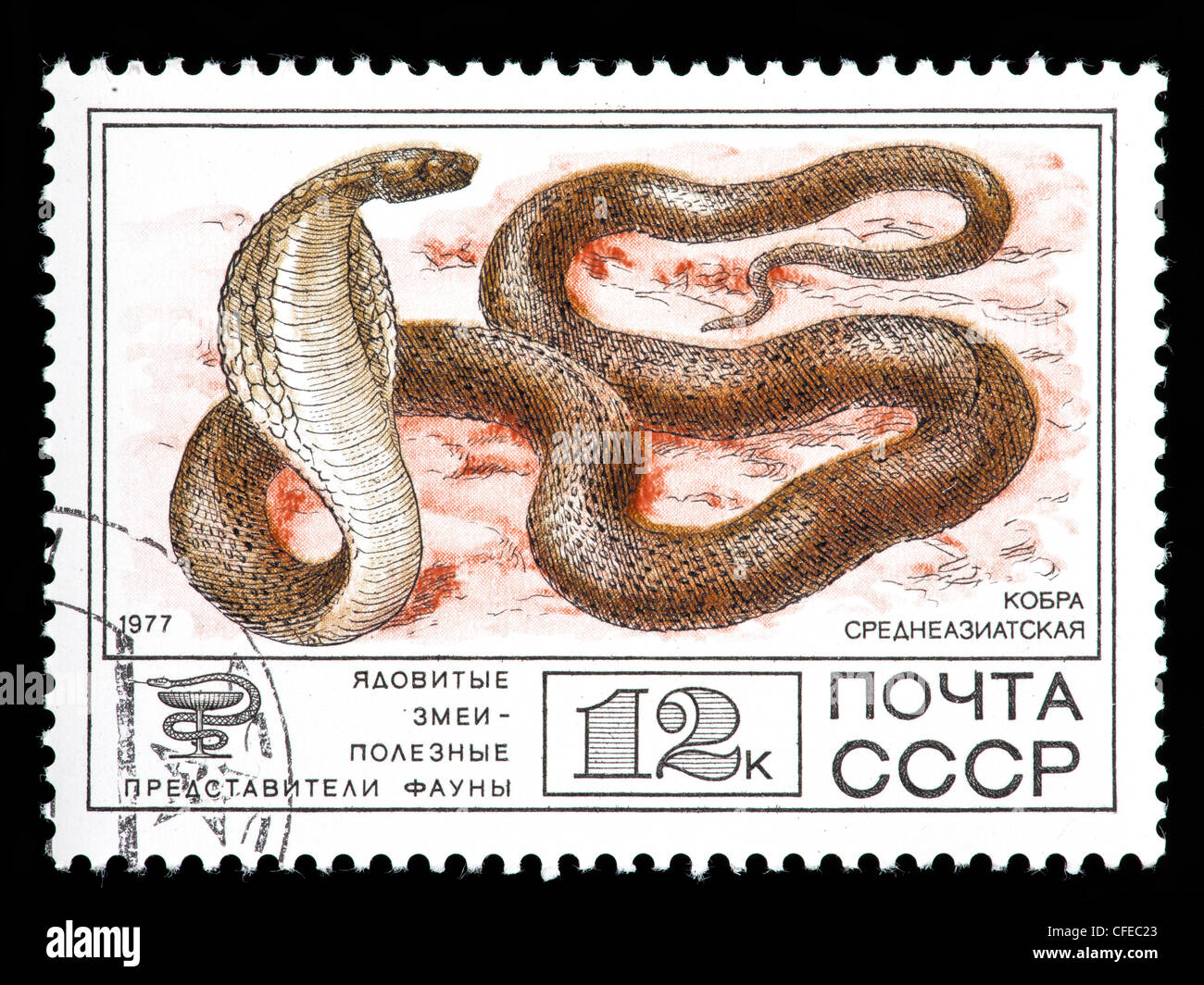 Postage stamp from the Soviet Union (Russia) depicting a cobra Stock ...