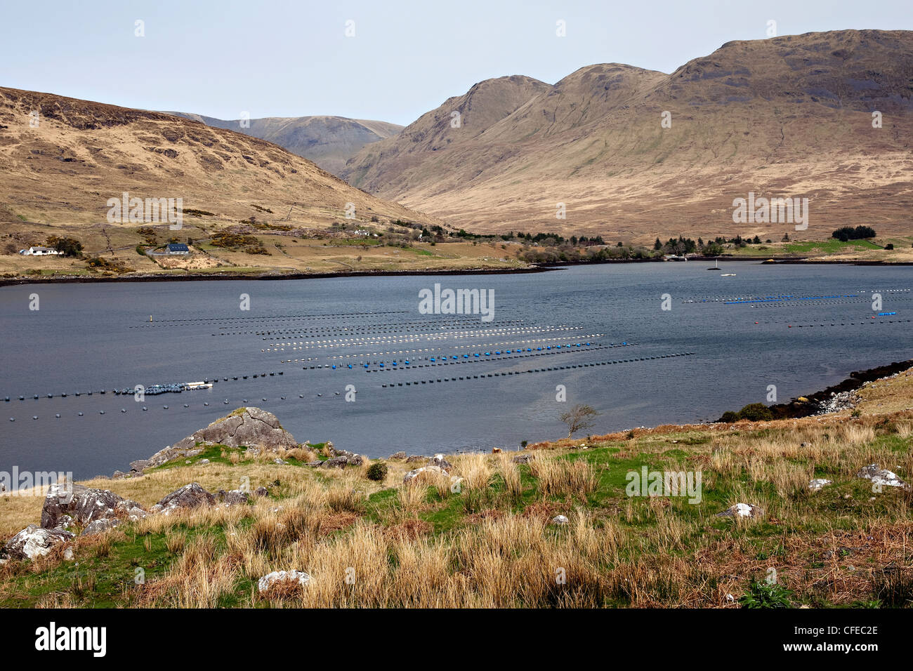Killary Harbour, Connacht, Galway, Ireland Stock Photo - Alamy