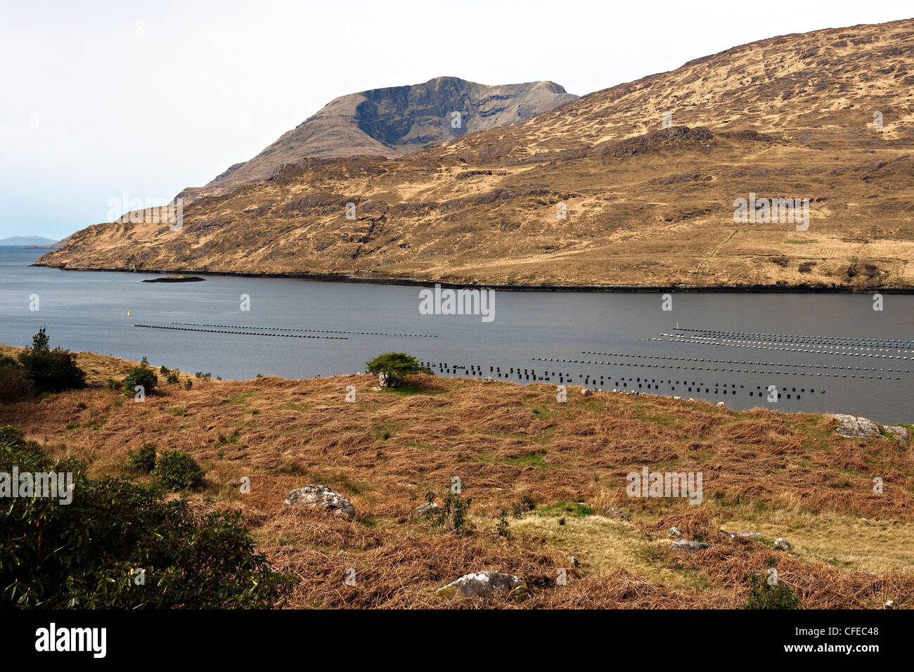 Killary harbour hi-res stock photography and images - Alamy