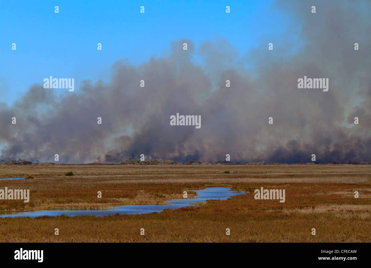 Prescribed burn on marshland of Aransas National Wildlife Refuge, Texas ...