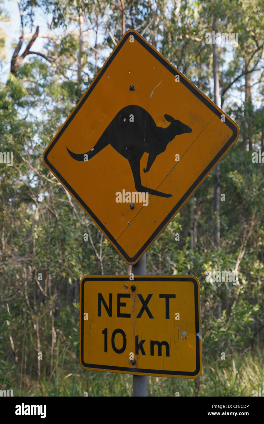 Warning sign for kangaroos crossing highway in Australia Stock Photo ...
