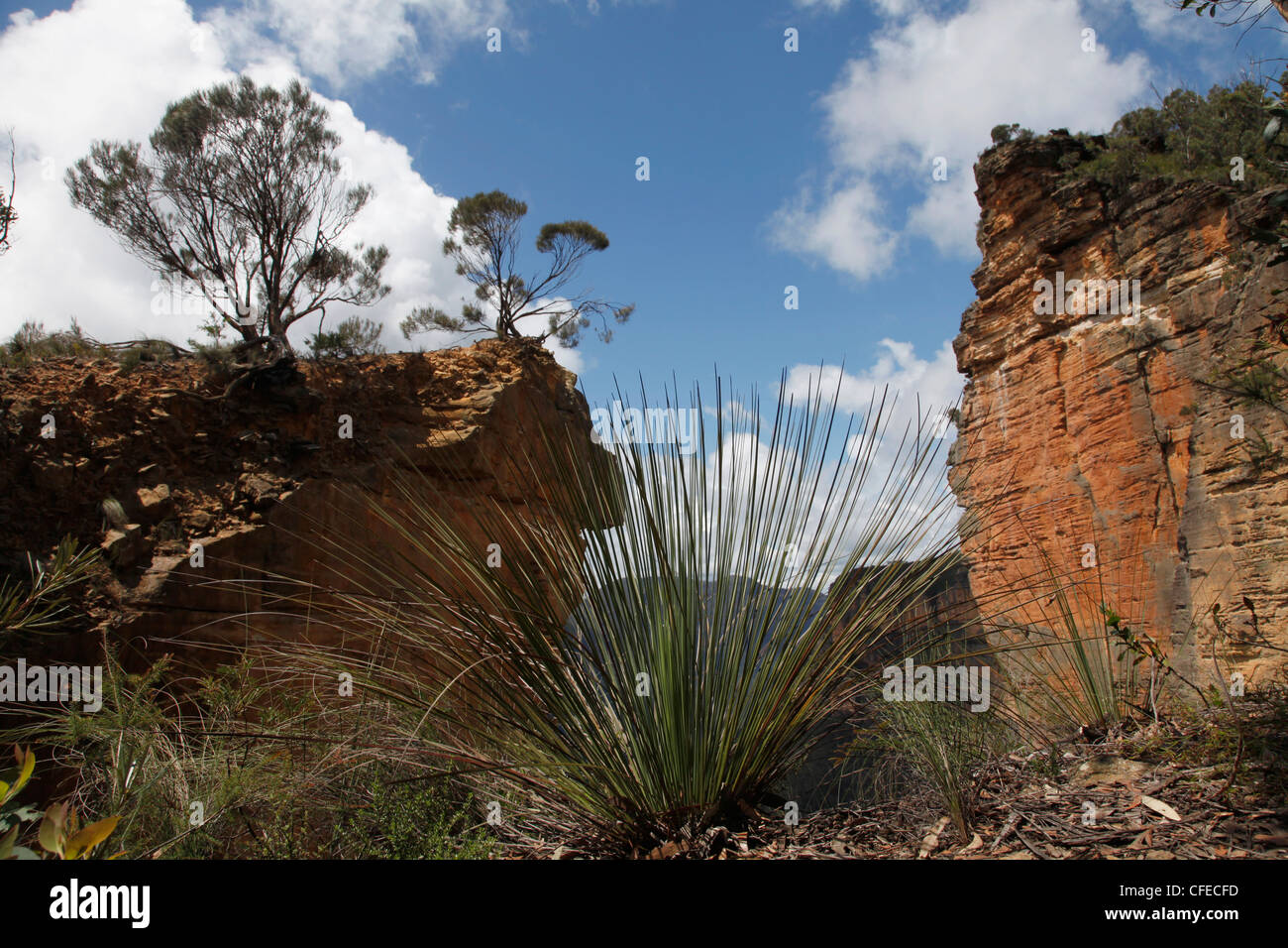 The Hanging Cliffs rock formation at the Blue Mountains national park ...