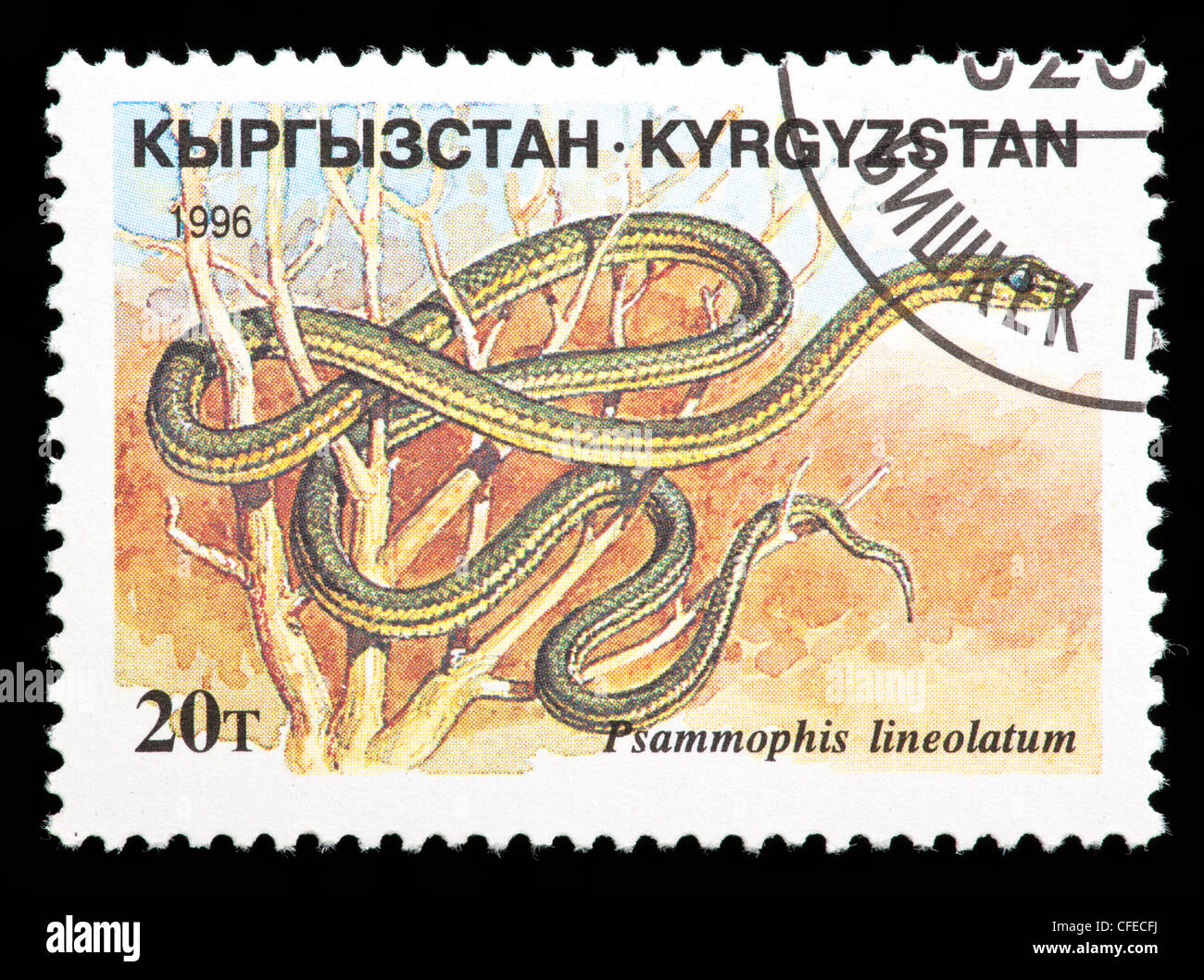 Postage stamp from Kyrgyzstan depicting Steppe Ribbon Racer (Psammophis ...