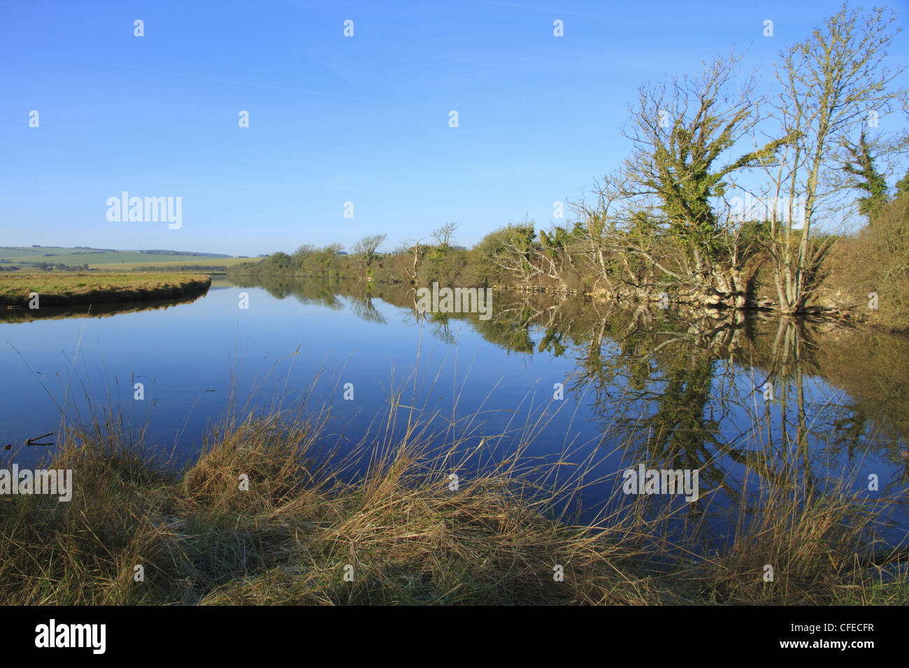 The banks of the river Cuckmere, Exceat, East Sussex, England Stock ...