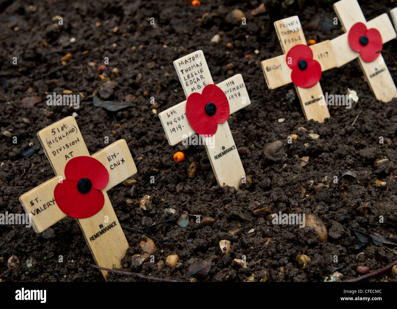 Remembrance day wooden crosses Stock Photo - Alamy