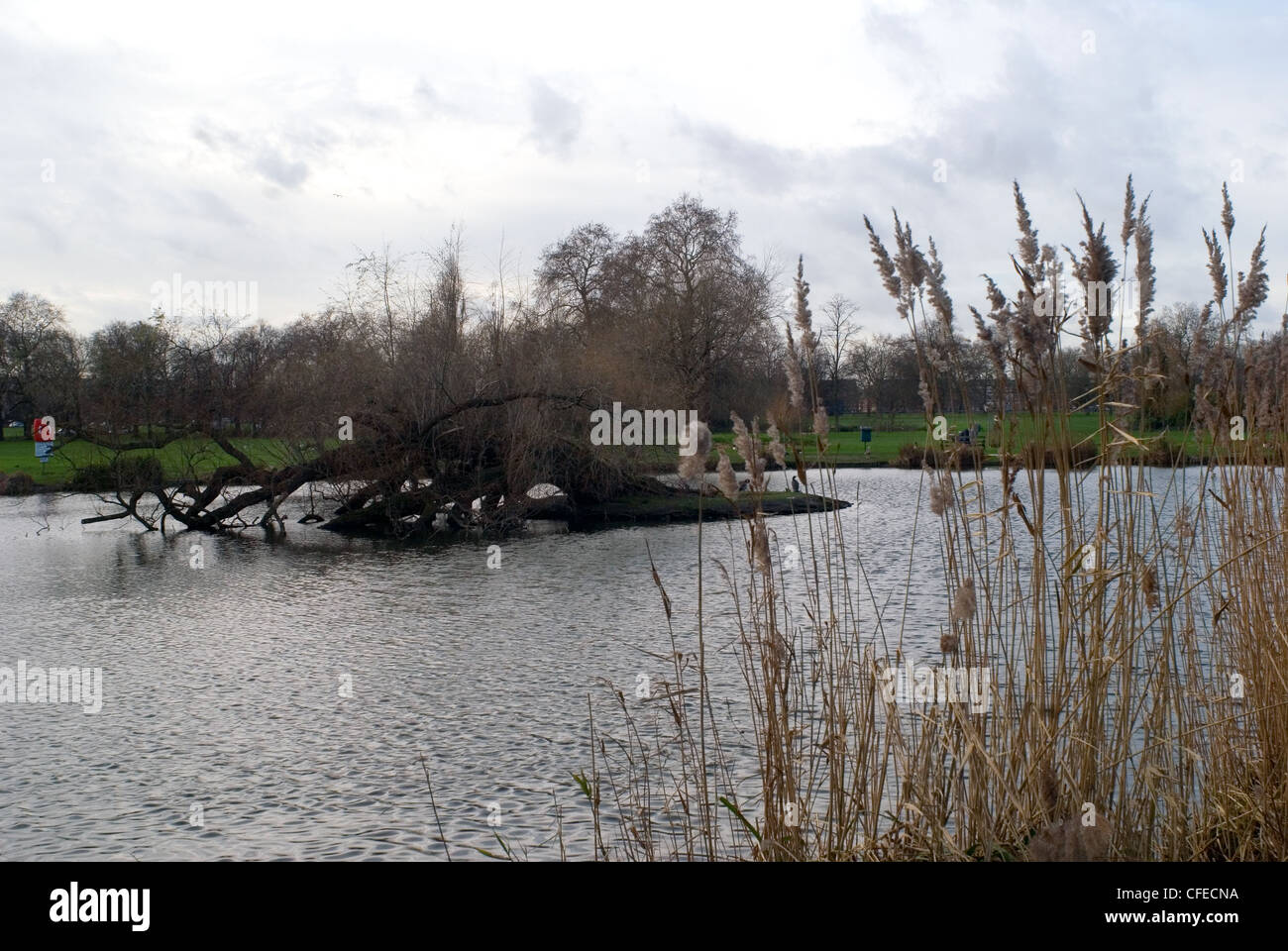 Common parkland hi-res stock photography and images - Alamy