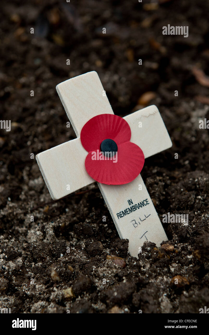 Remembrance day wooden crosses Stock Photo - Alamy