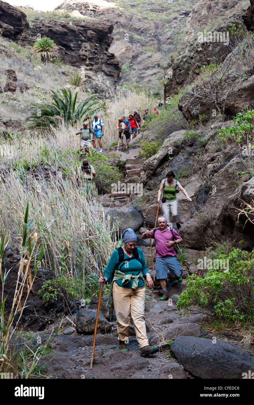 Walkers in Masca gorge, Tenerife, Canary Islands Stock Photo - Alamy